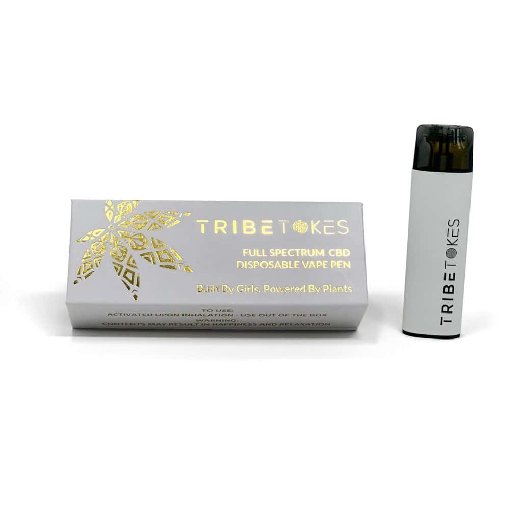 CBD Disposable Vape Pen | Juicy Fruit (Hybrid) - TribeTokes