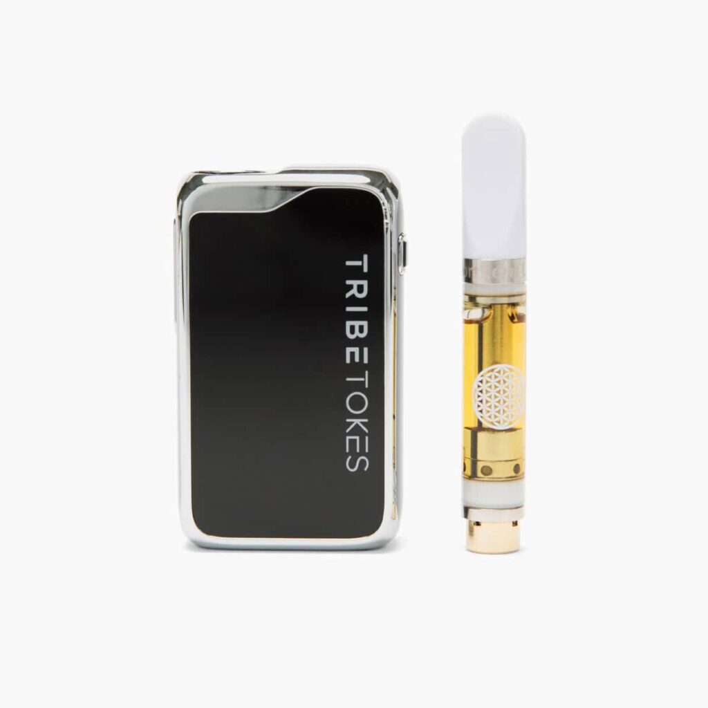 MINI Battery + Full Gram Cart | Delta 8 Vape Pen Starter Kit