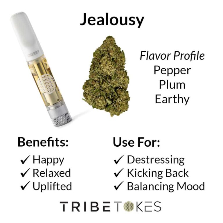 Jealousy Strain (Indica) - TribeTokes